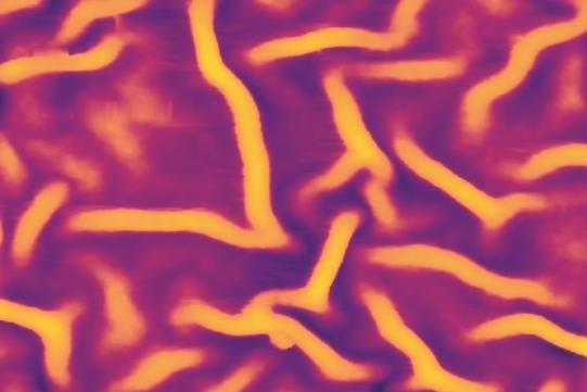 Turing patterned membrane takes on water purification | Research ...