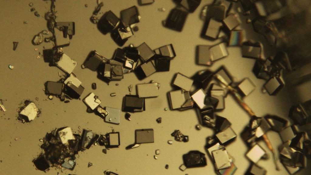 The importance of solid form science in modern drug development ...