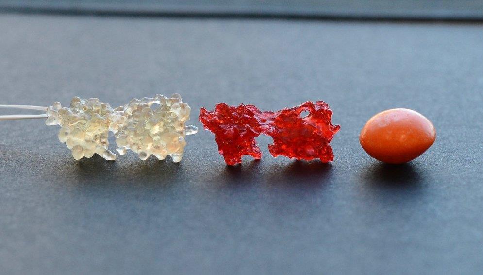 Protein-shaped sweets help students understand complex molecular ...