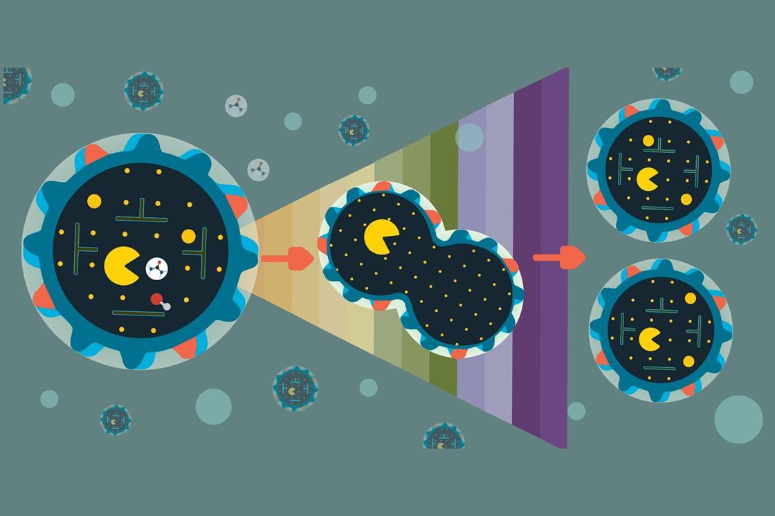 Chemical stimulus used to trigger synthetic cell division | Research ...
