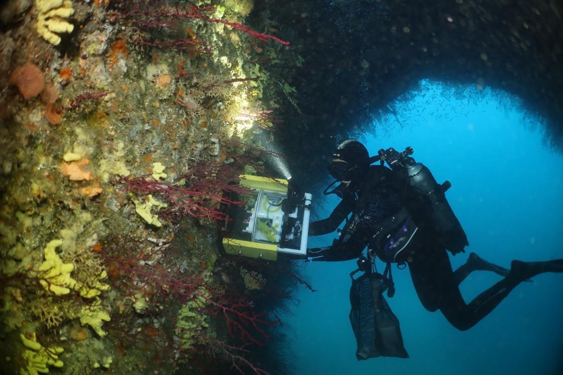 Underwater device reveals marine chemical diversity | Research ...