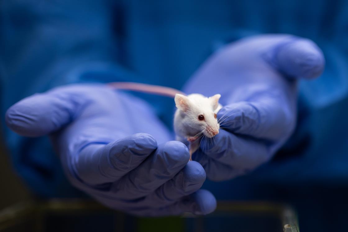 EPA sets 2035 deadline to end animal testing amid scientific concerns ...