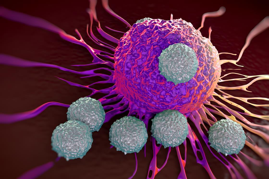 What Is checkpoint Therapy And Why Did It Win The Medicine Nobel what-is-checkpoint-therapy-and-why-did-it-win-the-medicine-nobel