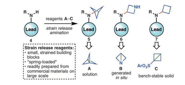 Easy addition of ‘unnatural’ strained rings boon for drug chemists ...