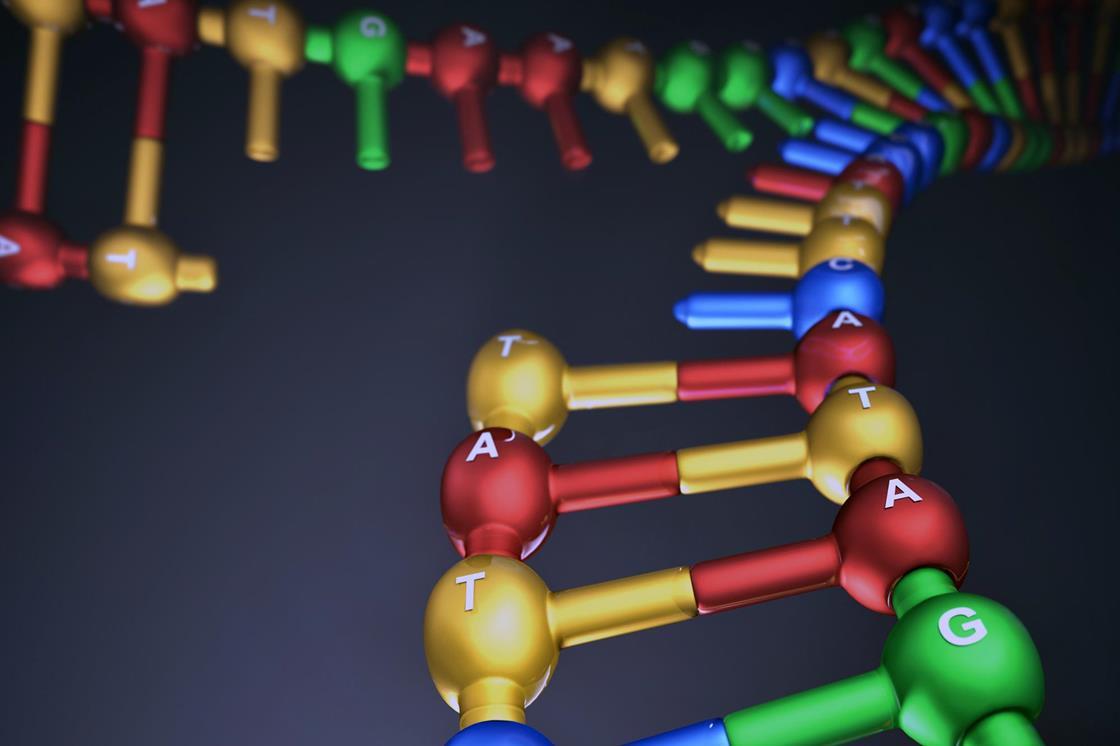 Replication proteins send signals along DNA ‘wire’ | Research ...