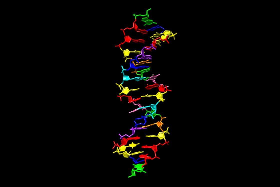 Eight-letter genetic code hints at how alien life might evolve ...