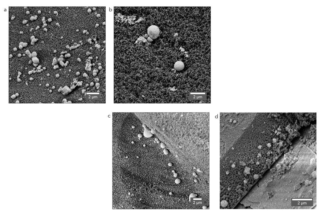 Liquid metal catalyst shows promise in industrial reaction | Research ...