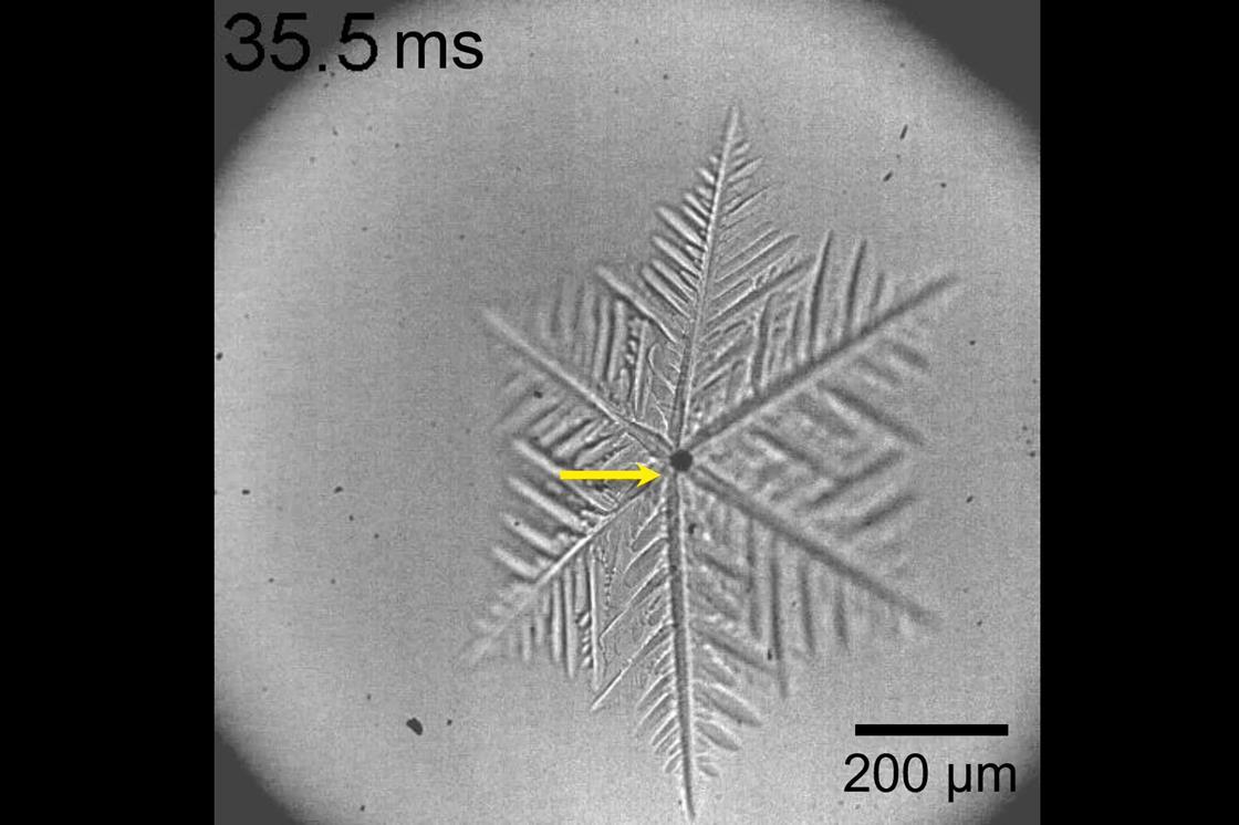 Ice crystallisation initiated by ultrafast laser pulses caught on ...