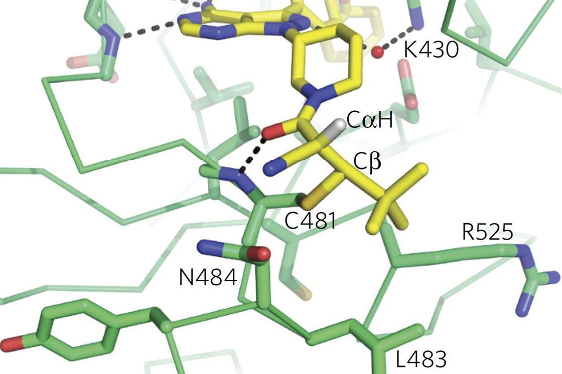 Covalent inhibitor drugs | Feature | Chemistry World