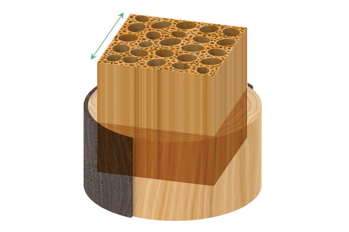 ‘Bullet-proof’ wood developed | Research | Chemistry World