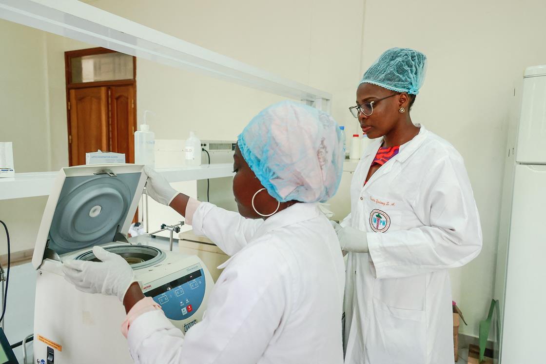 A unifying force for African medicines | Opinion | Chemistry World
