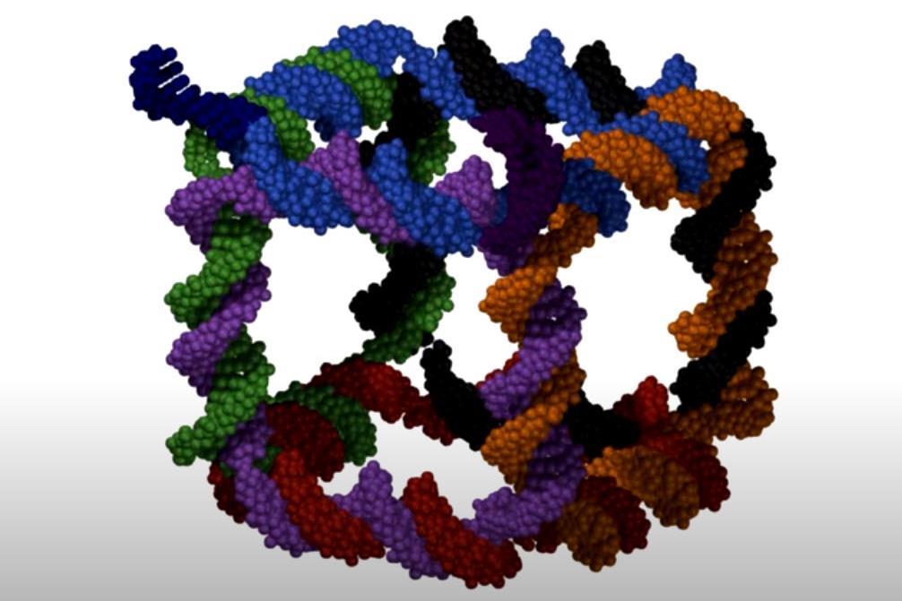 DNA cube programmed for an exclusive reveal | Research | Chemistry World