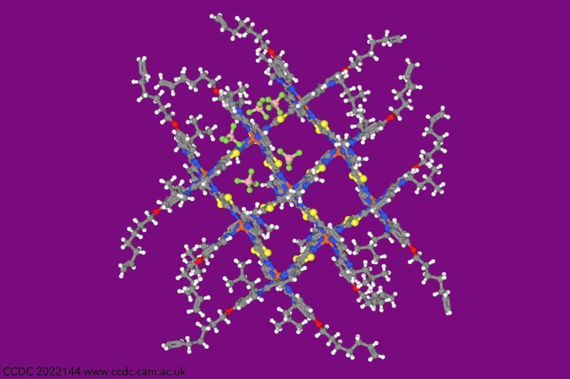 258-atom endless knot created with thiazole ligands | Research ...