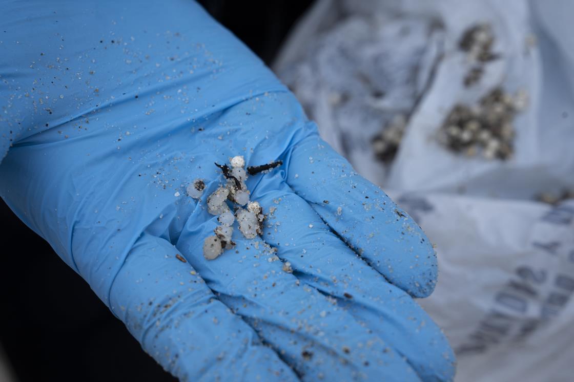 Plastic pellets spill pollutes north Spanish coast | News | Chemistry World