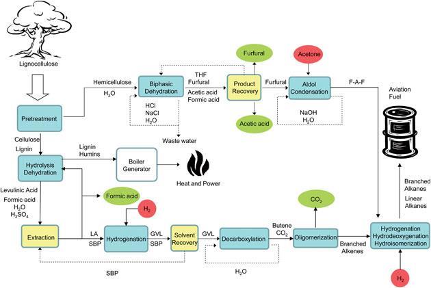Carving out a future for biomass conversion to jet fuel | Research ...