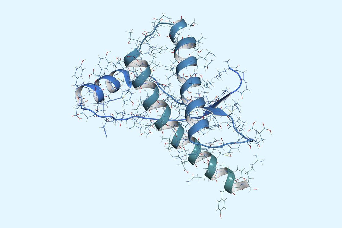 Exploring AlphaFold’s knowledge of energy landscapes | Opinion ...