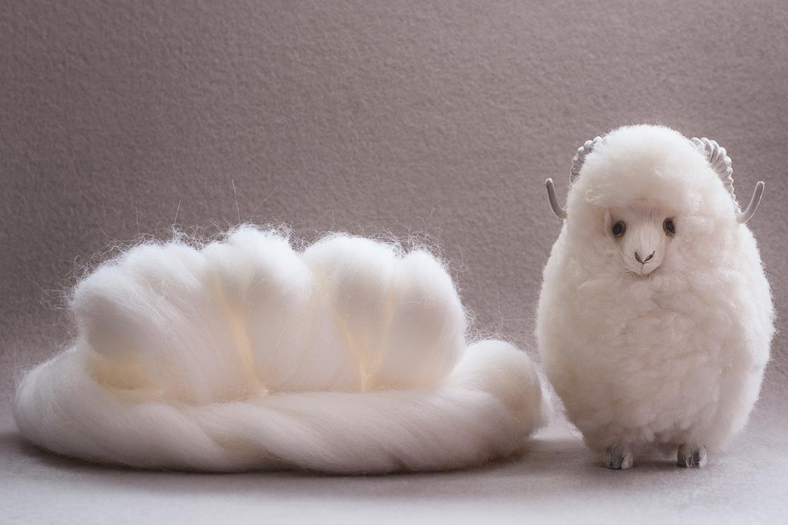A warning for US science & wool’s chemical versatility | Podcast ...
