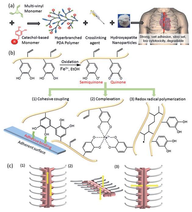 Slow-setting bone glue for easier post-surgery access | Research ...
