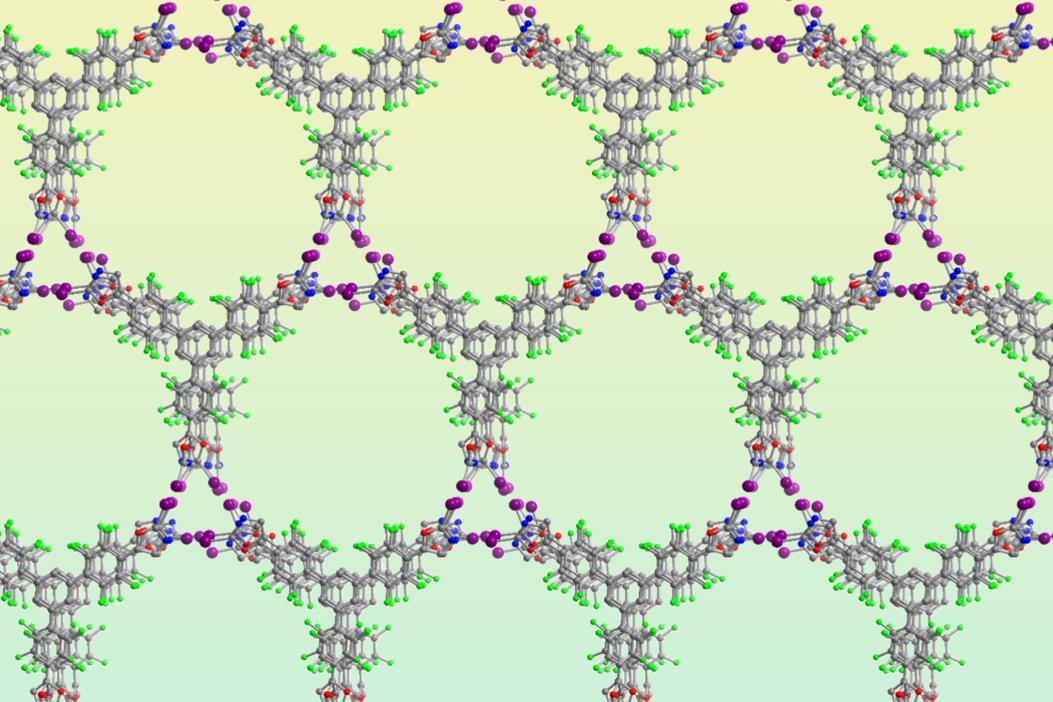 Halogen bonding makes its debut in a permanently porous framework ...