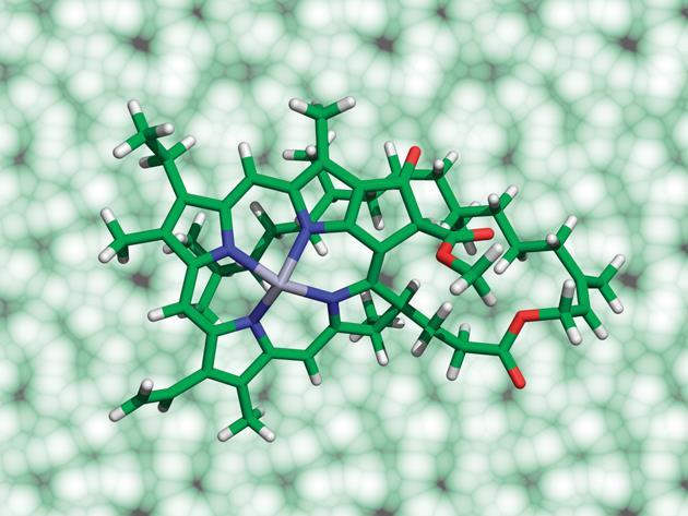The green molecule | Feature | Chemistry World