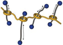 Polymer side-chains on the slide | News | Chemistry World