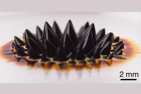 Dynamic surfaces can be switched by magnetic fields | Research ...