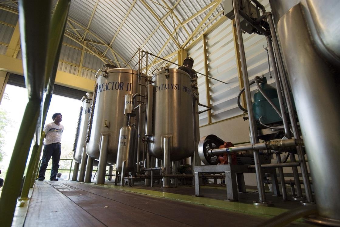 Visiting chemical plants | Opinion | Chemistry World