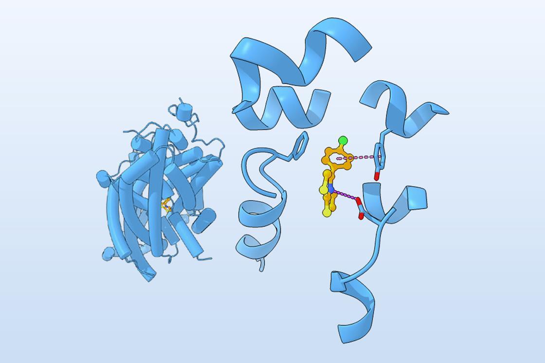 AI tool dramatically reduces computing power needed to find protein ...