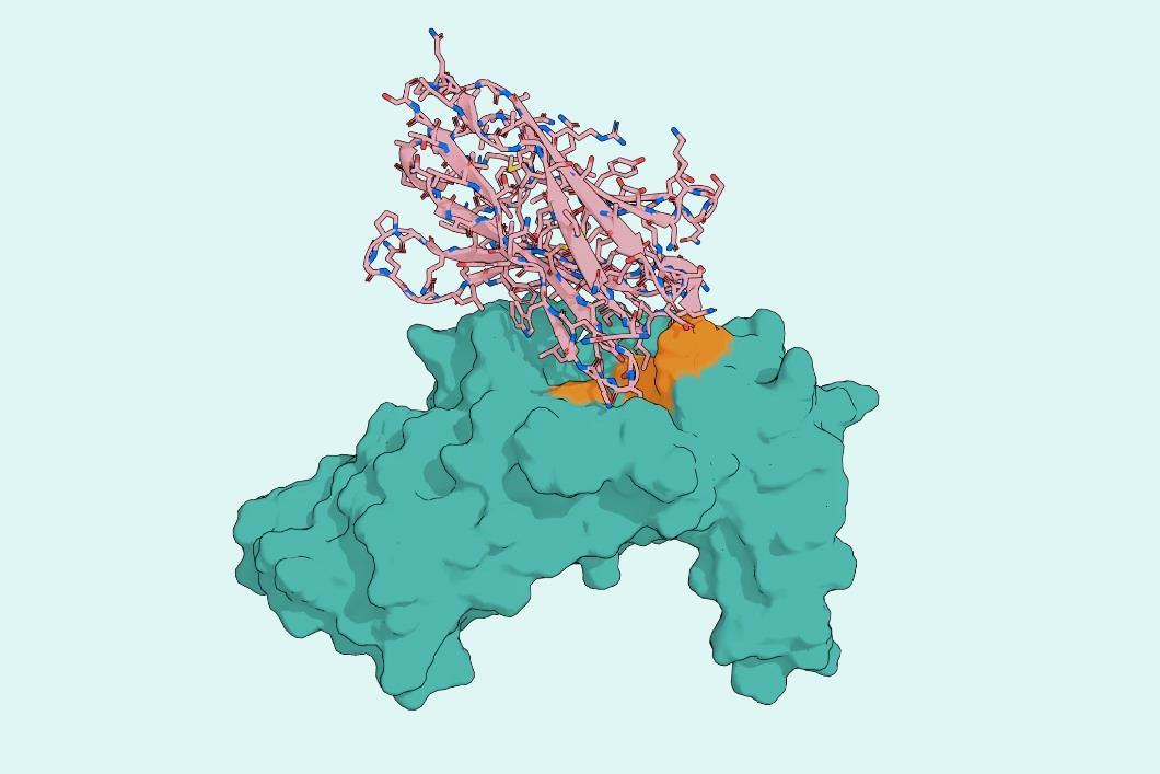 AI-designed antibodies target antigens with atomic precision | Research ...