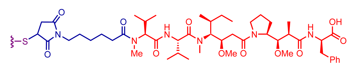 Antibody–drug conjugates drive growth in oncology | Business ...
