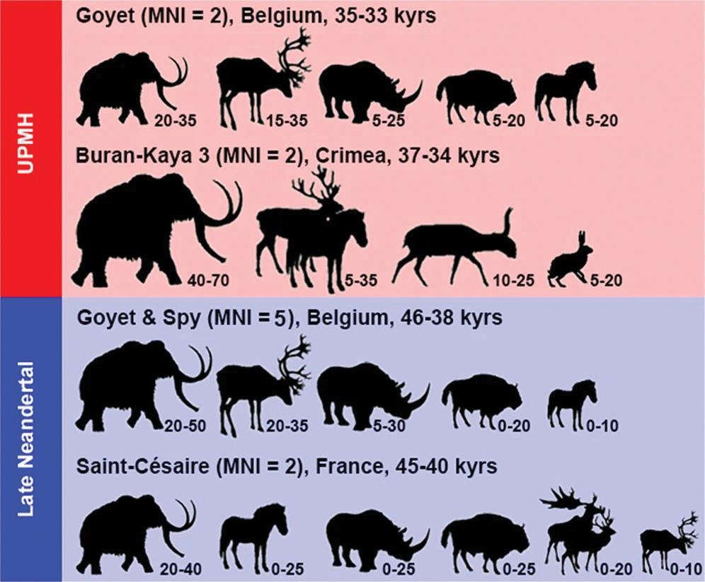 Ancient isotope analysis reveals how diet shaped human evolution, from ...
