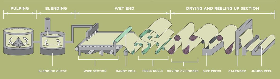 The complex chemistry of making paper | Feature | Chemistry World
