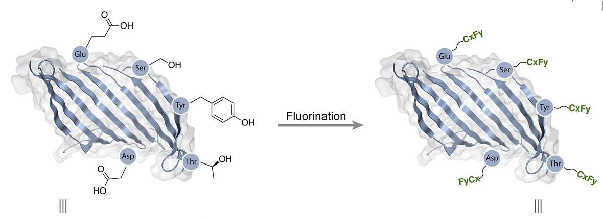 Medical uses for silk | Feature | Chemistry World