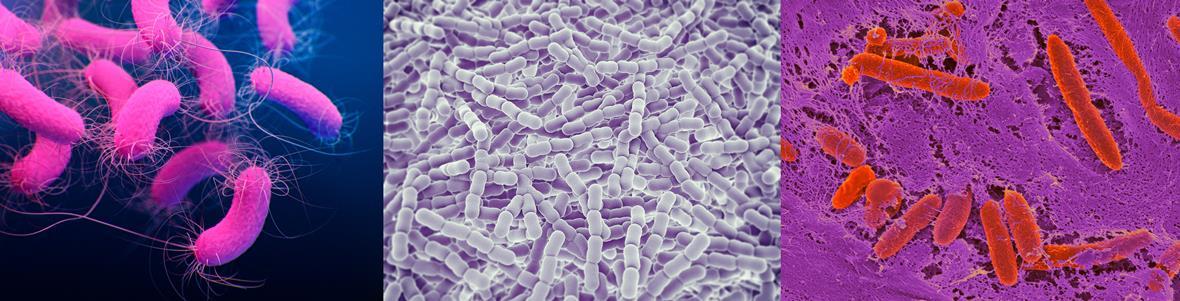 Why is cystic fibrosis so hard to treat? | Feature | Chemistry World