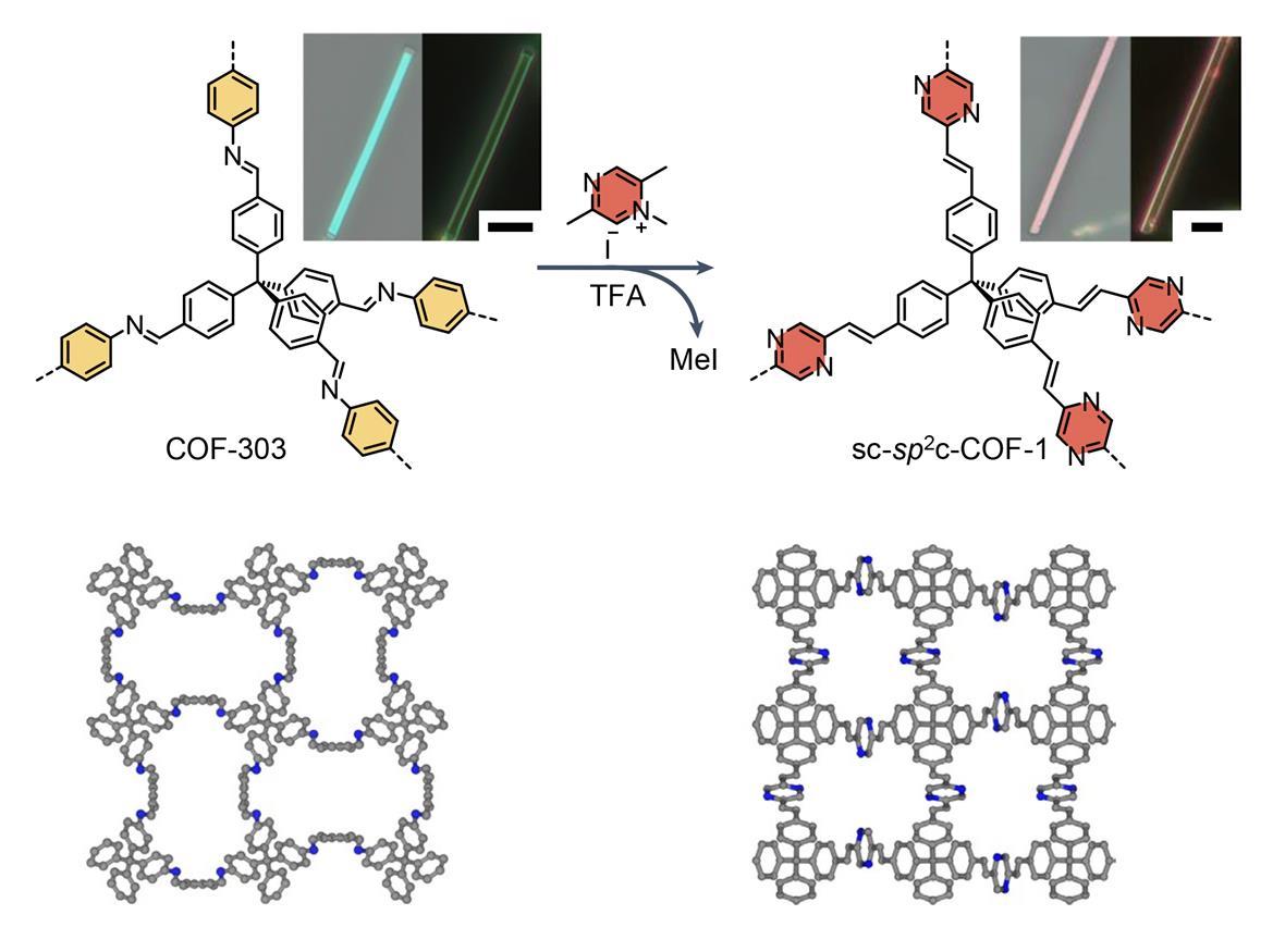 COFs head for the big time | Feature | Chemistry World