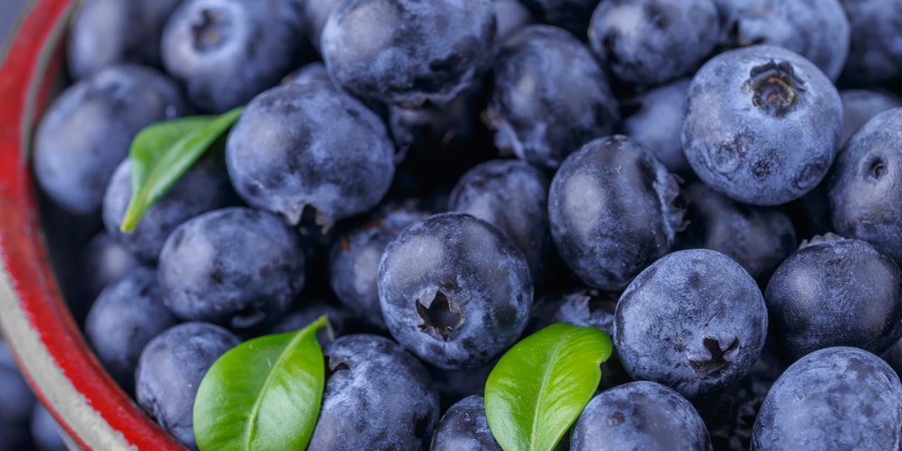 Blueberries’ blue is just skin deep, depending on structure not ...