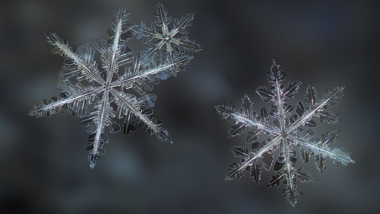 What makes a snowflake special? | News | Chemistry World
