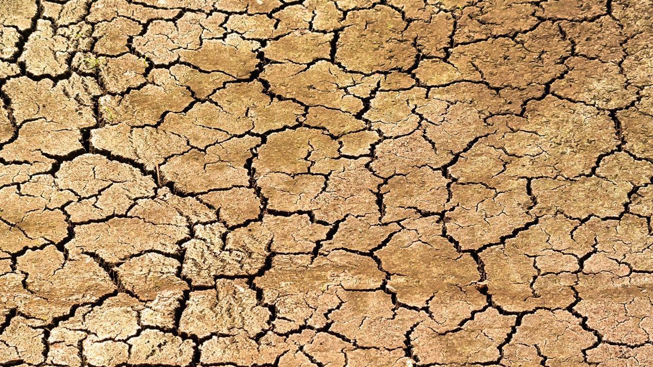 Theory of crack networks helps understand paint ageing | Research ...