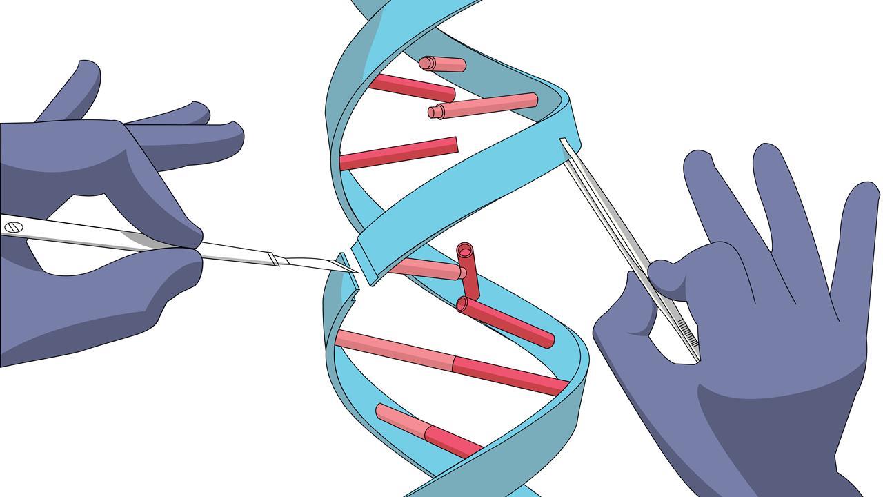 Crispr first as disease-causing mutation edited in human embryos ...