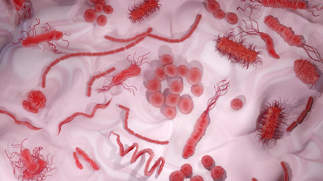 Wired-up symbiotic multi-organism can turn sunlight and air into ...