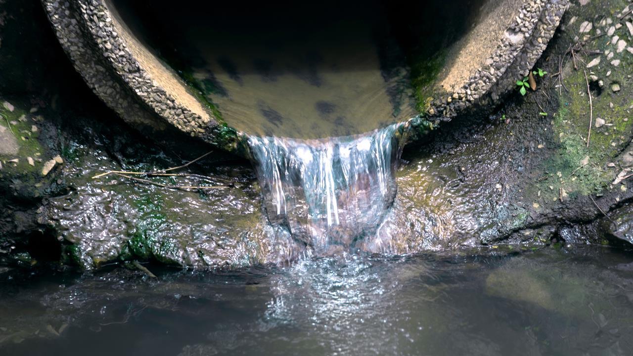 Microbial degradation offers way to tackle chlorinated PFAS in ...