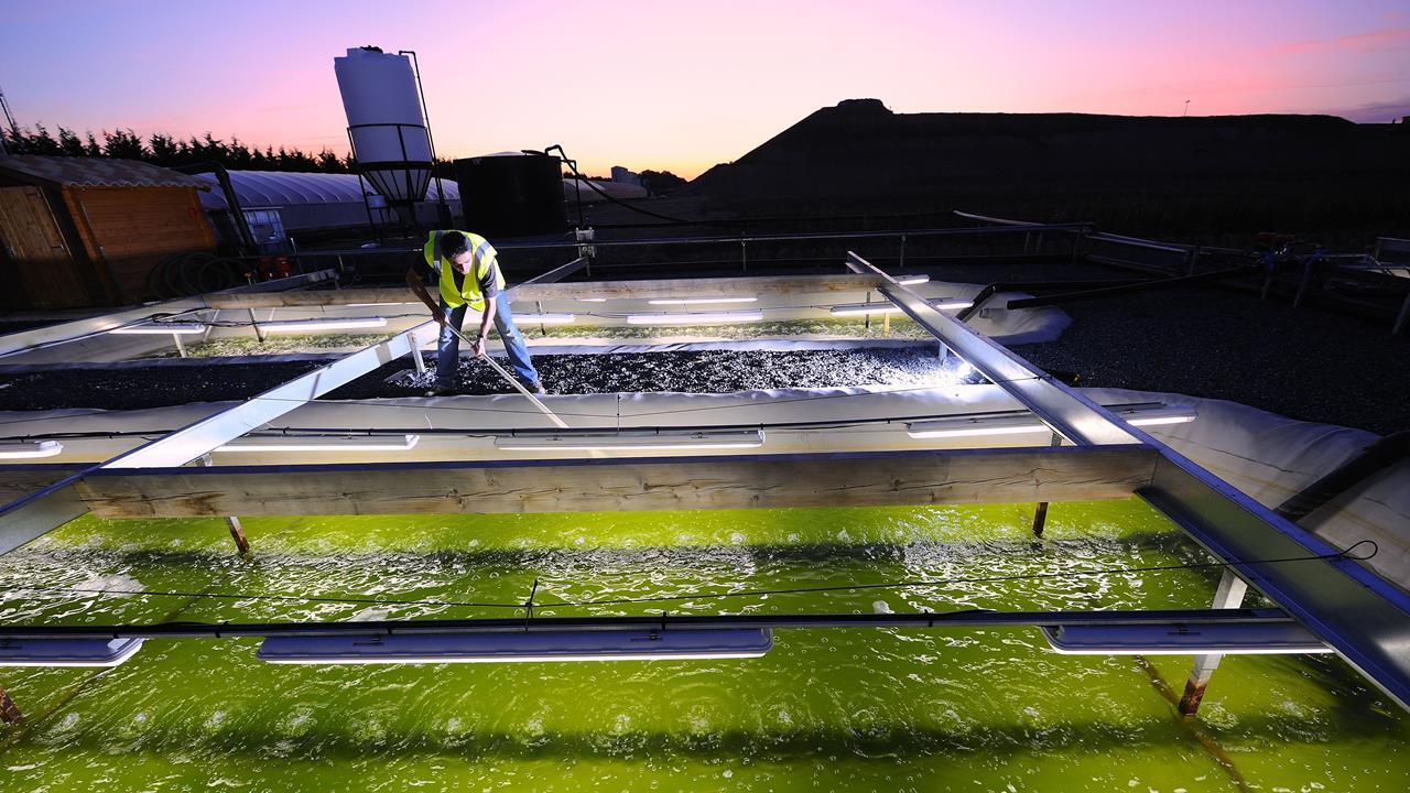 Unexpected autocatalytic effect gives light-driven enzyme a boost to ...