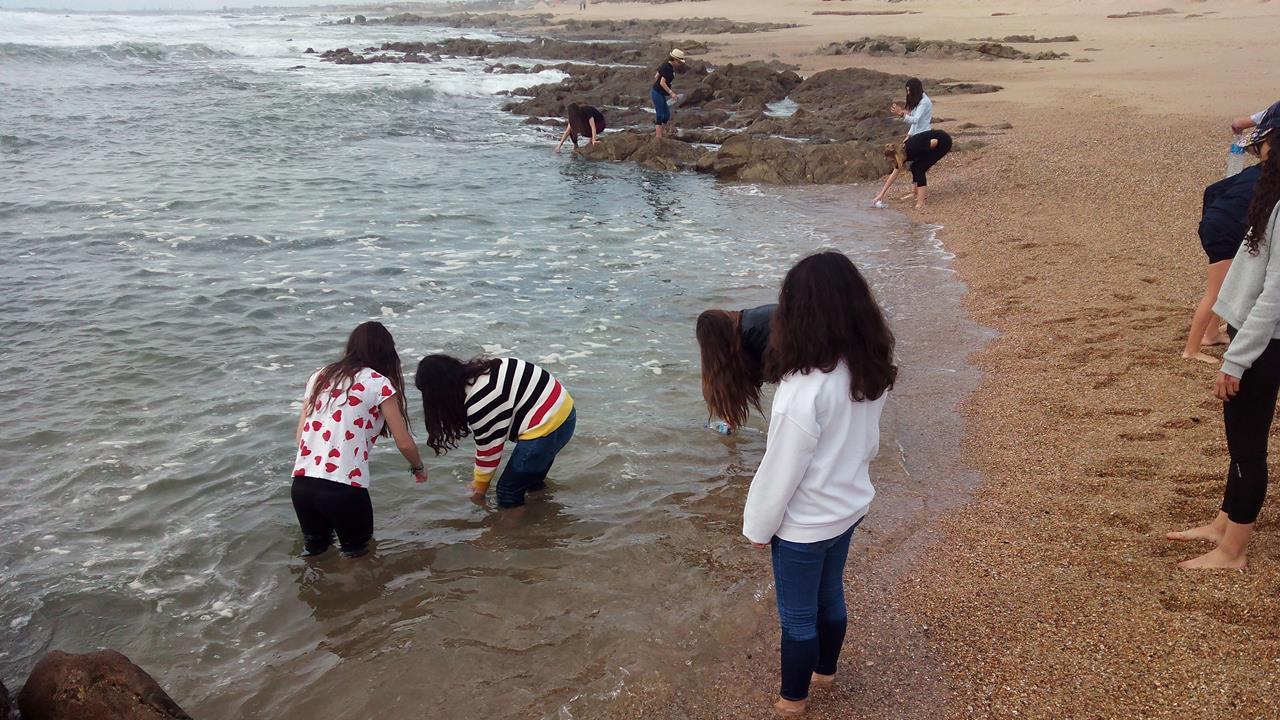 Bringing citizen science into school – and to the beach | Opinion ...