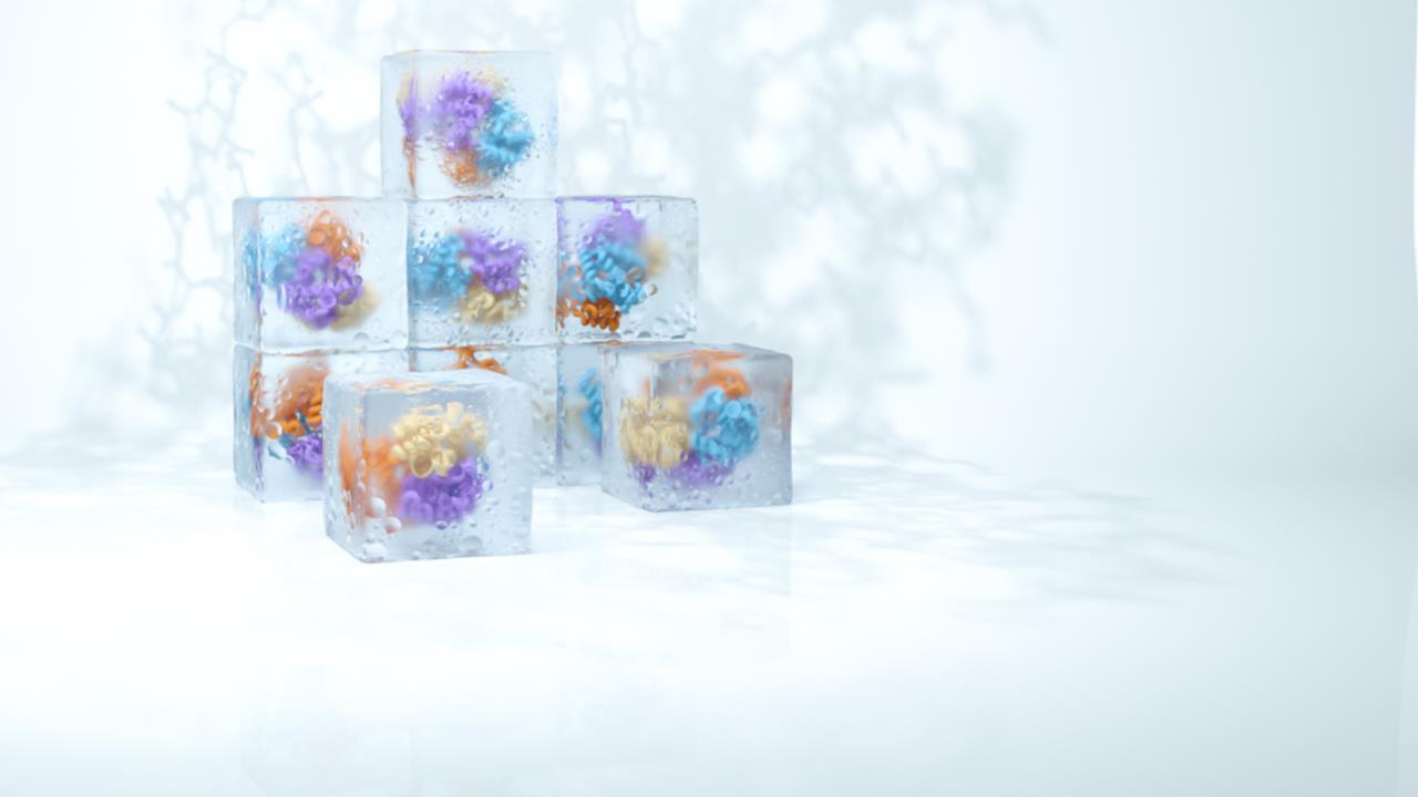 Cryo-EM: a cold, hard look at biology | Feature | Chemistry World