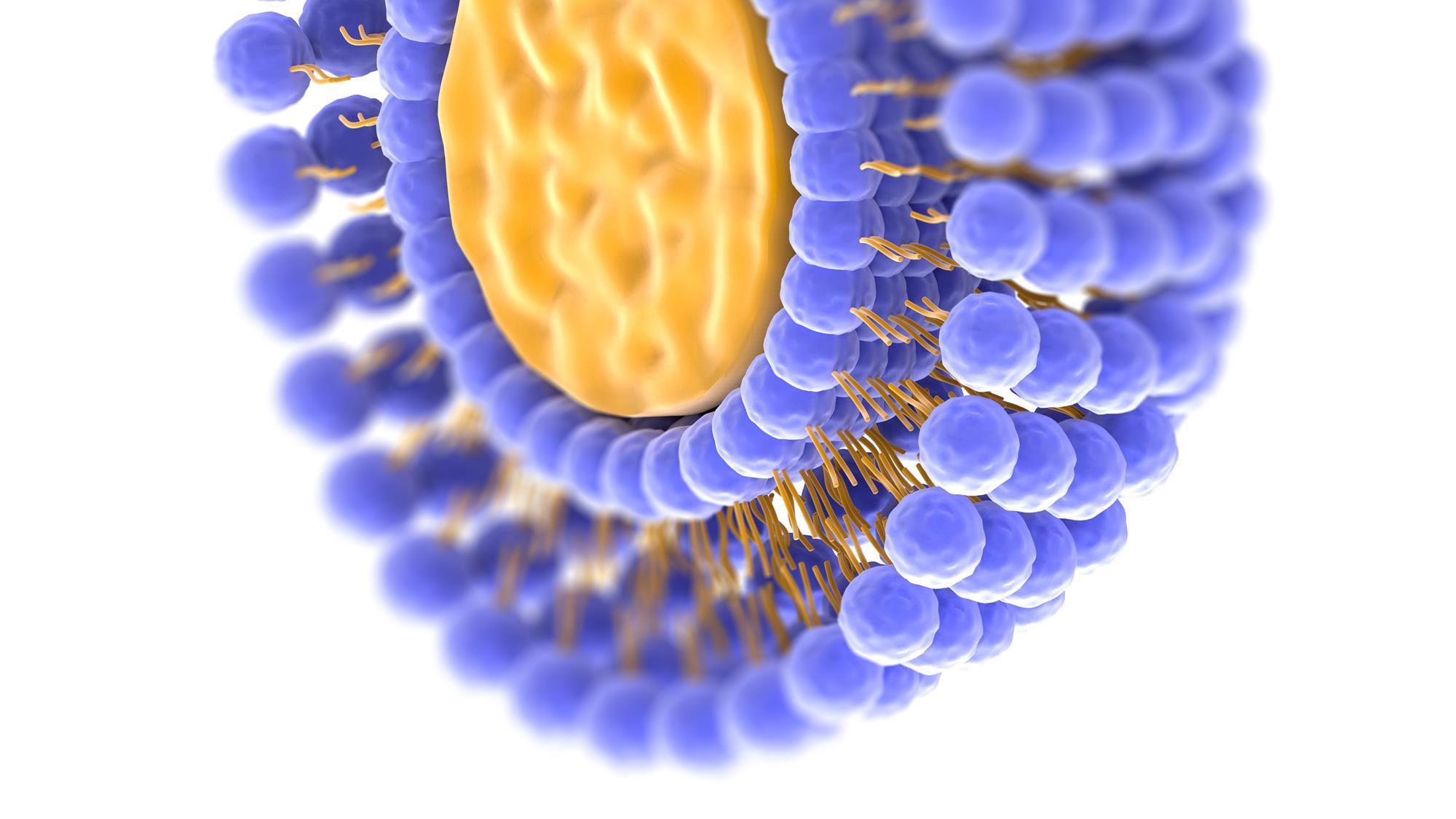 Tiny delivery systems for cancer drugs | Feature | Chemistry World