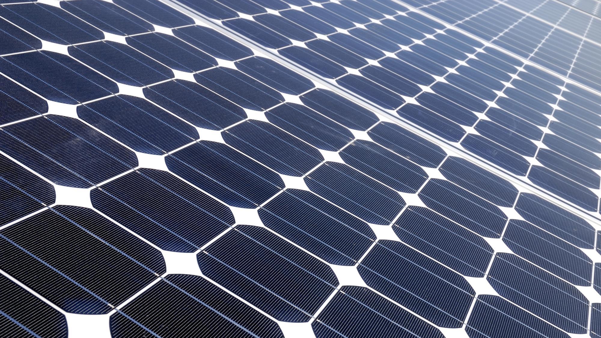 Solar cell tries its hand at organic synthesis | Research | Chemistry World