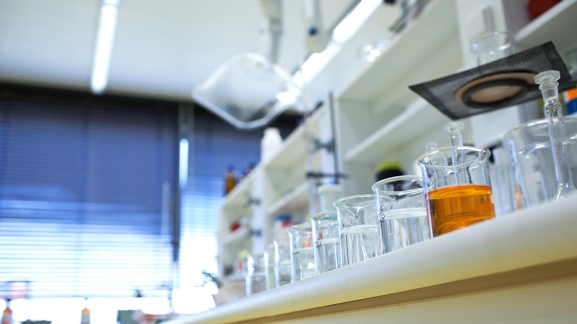 China's Nobel laureate labs to cut red tape | News | Chemistry World