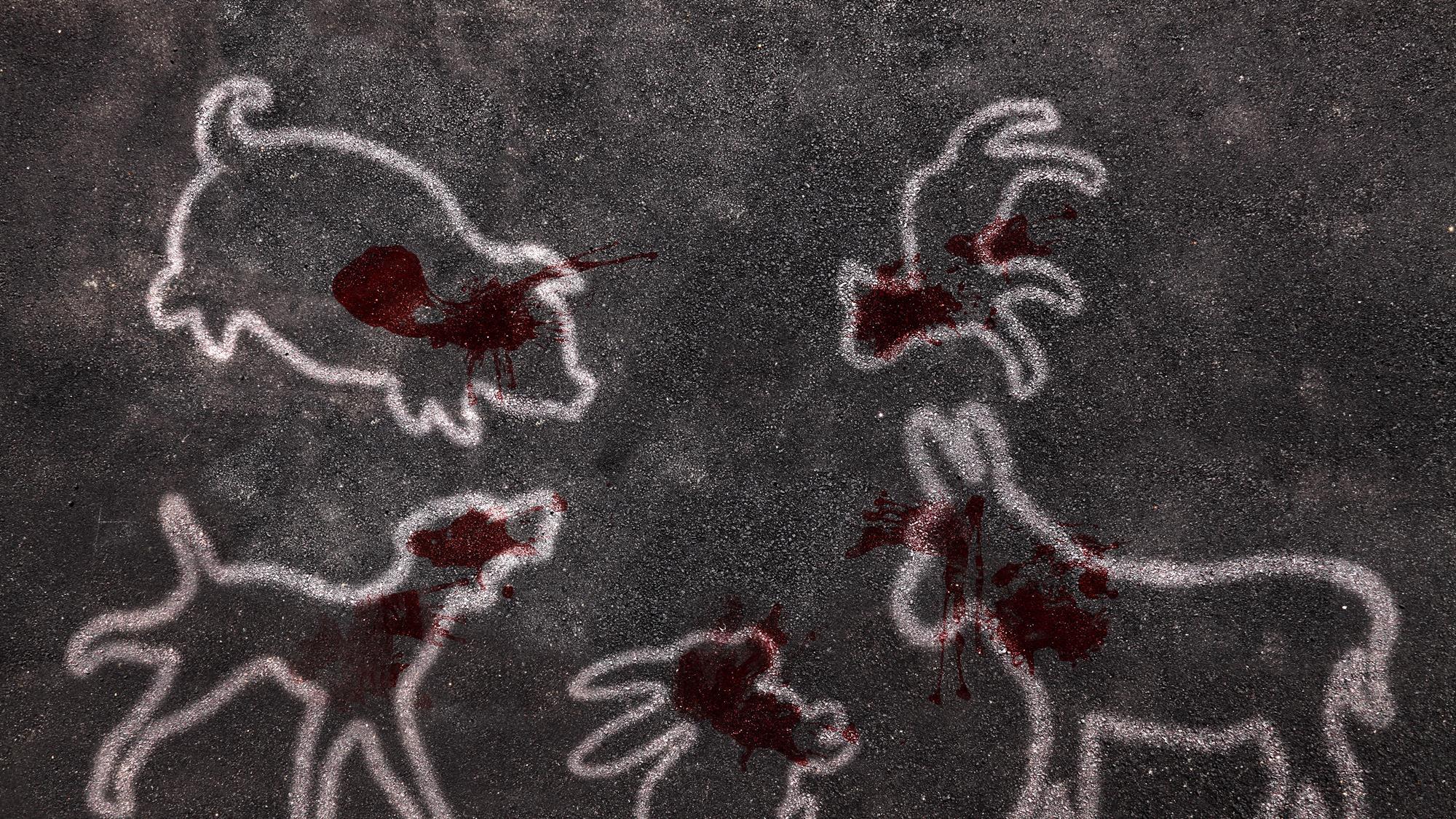 Rapid test can tell human from animal blood at crime scenes | Research ...