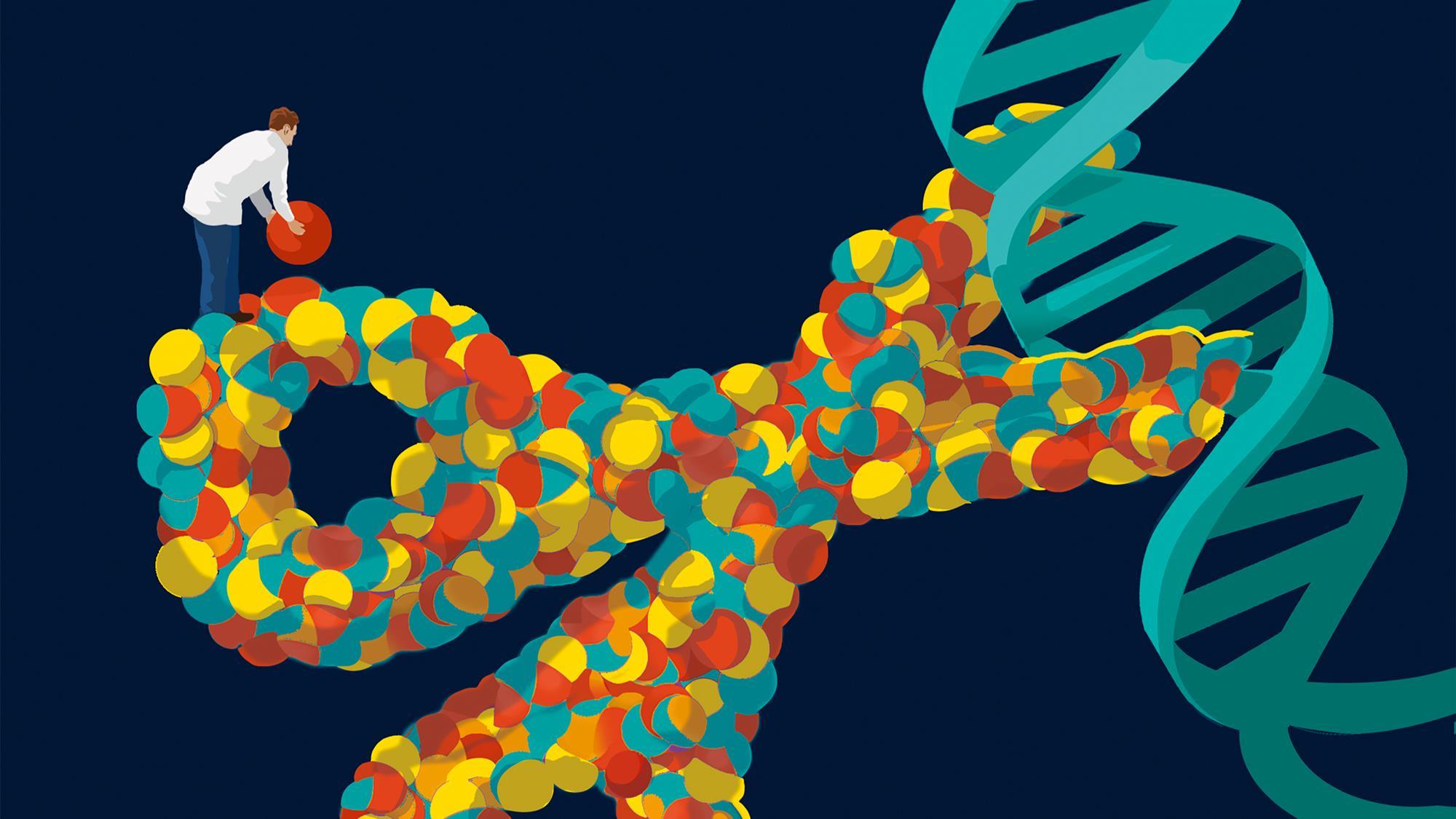 UK becomes first country in the world to authorise a Crispr-based gene ...