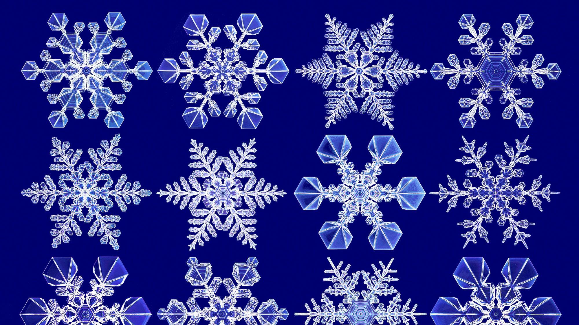 Dashing through the snow(flakes) | Opinion | Chemistry World